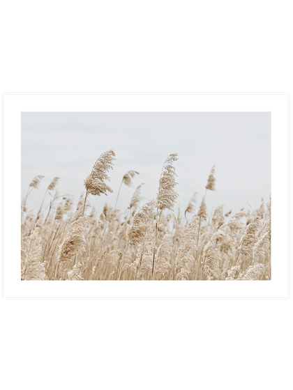 61x91 Poster – Nordika Gallery